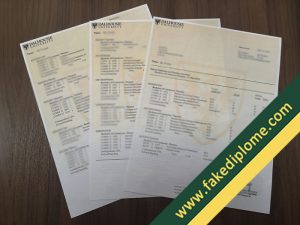 How to create Dalhousie University fake transcript