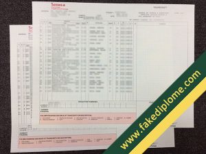 How to buy fake Seneca College diploma certificate