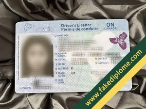Where to buy fake Canadian driving license