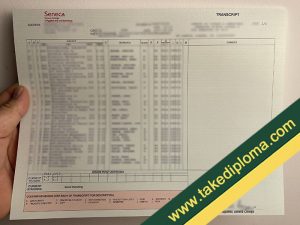 How to create Seneca College fake transcript diploma